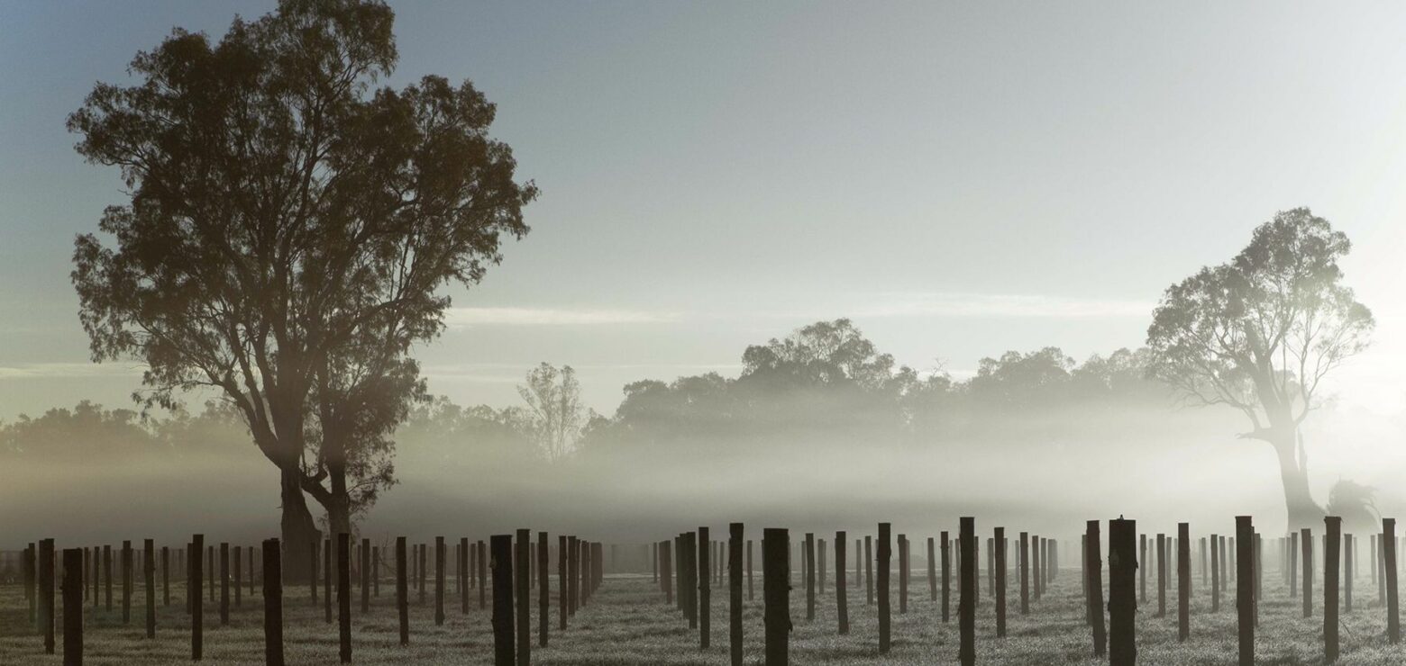 Home - Kingsland Drinks